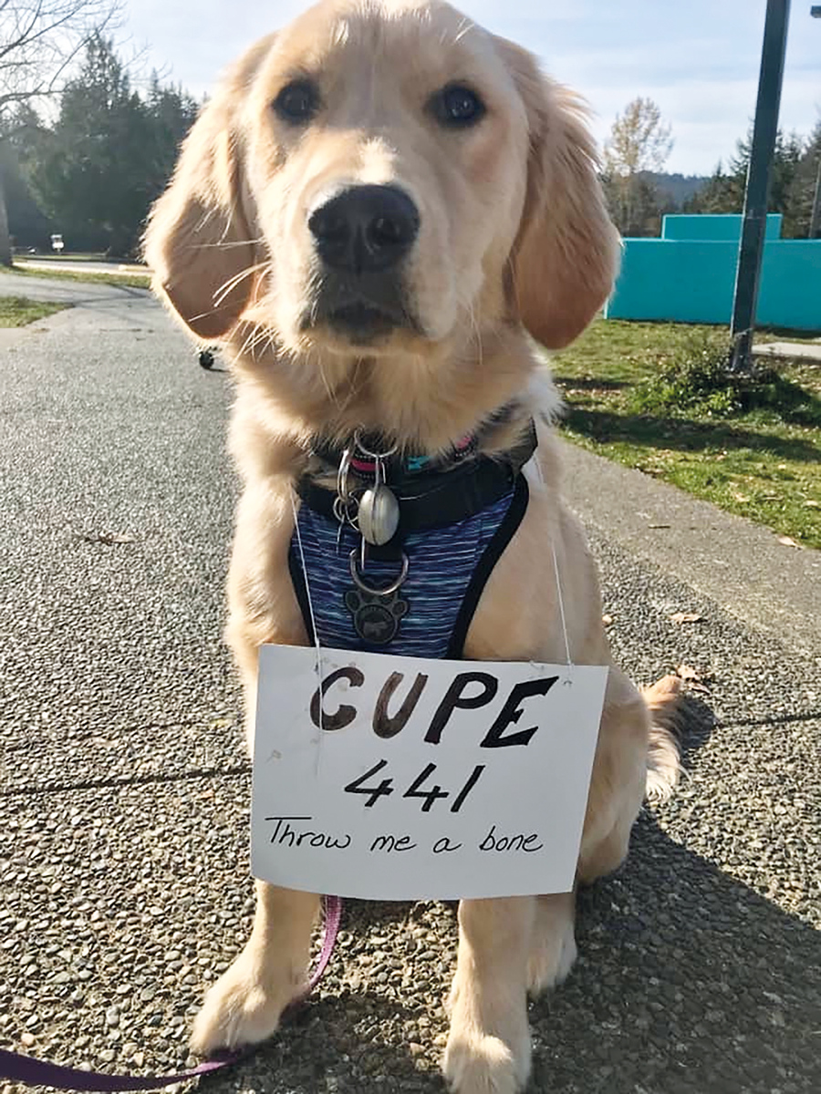 CUPE 441 Strike