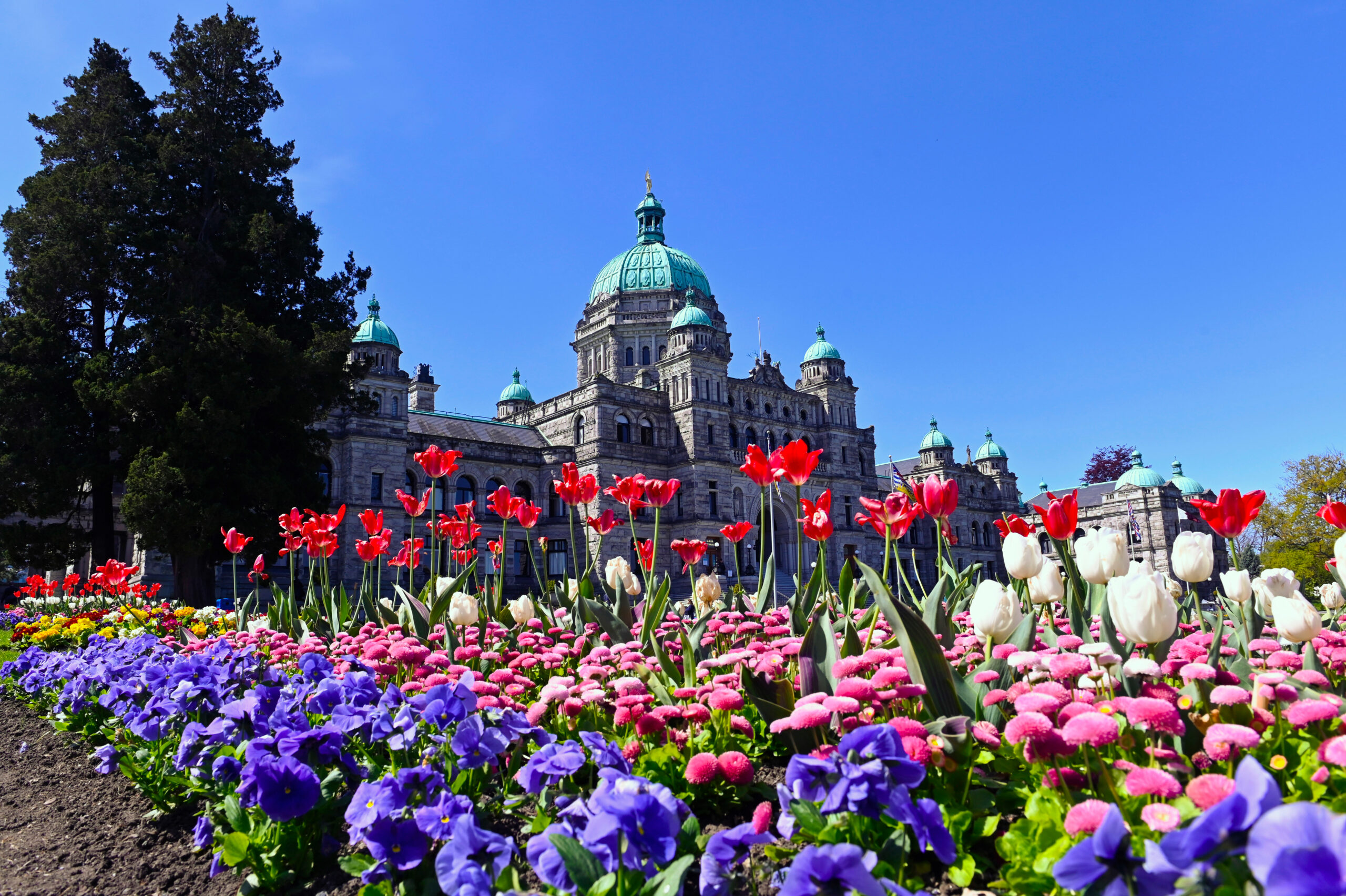 CUPE BC 56th Annual Convention